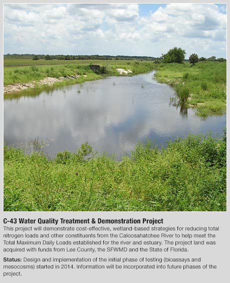 photo_c43.jpg | South Florida Water Management District