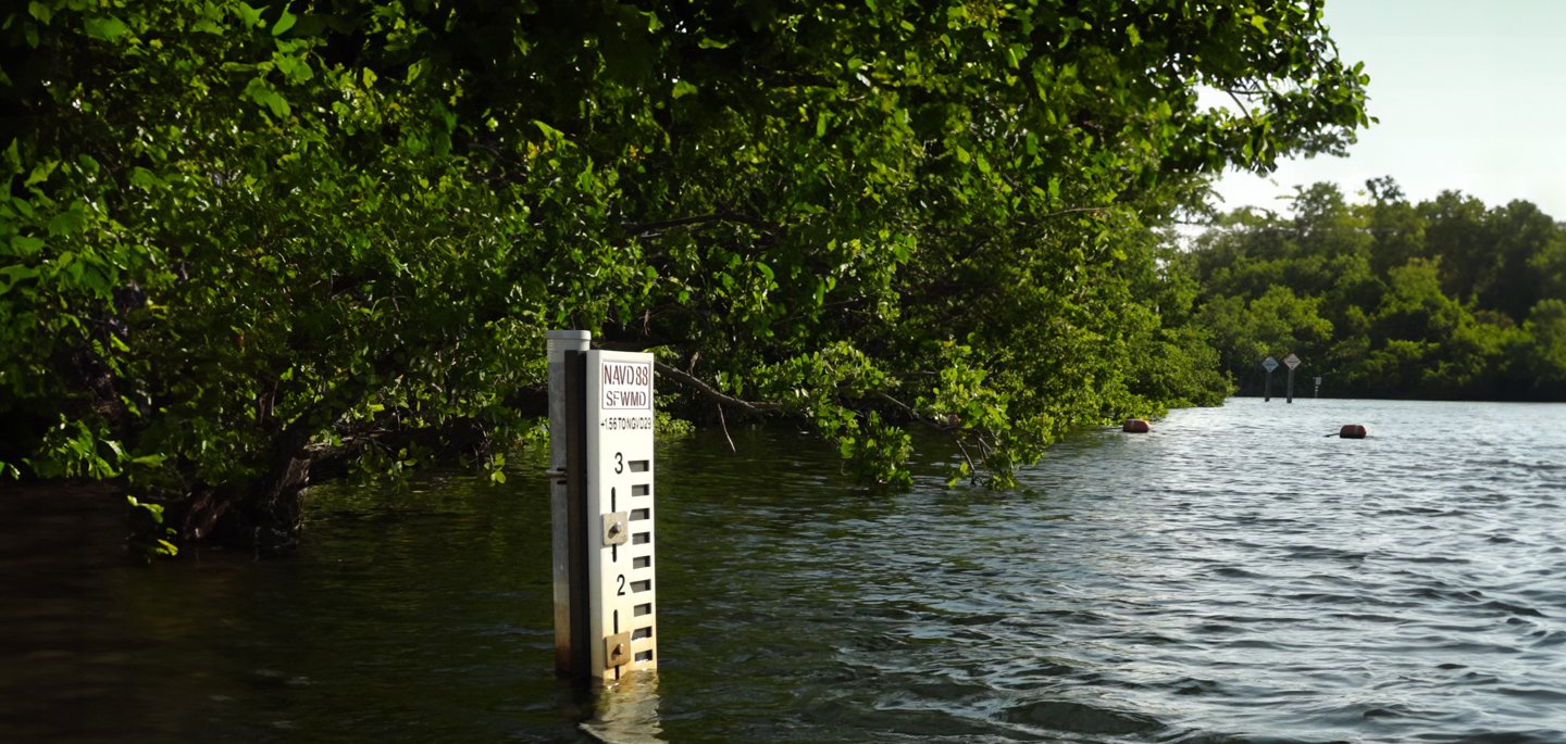 | South Florida Water Management District